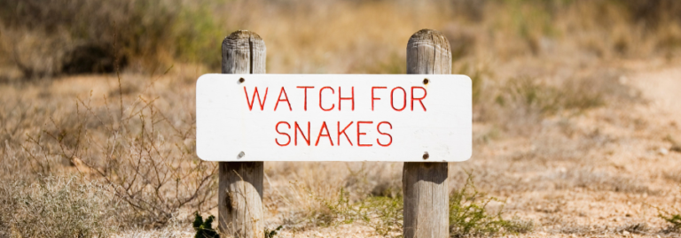 Does Your Crew Need Snake Safety Training? - Safety By Design
